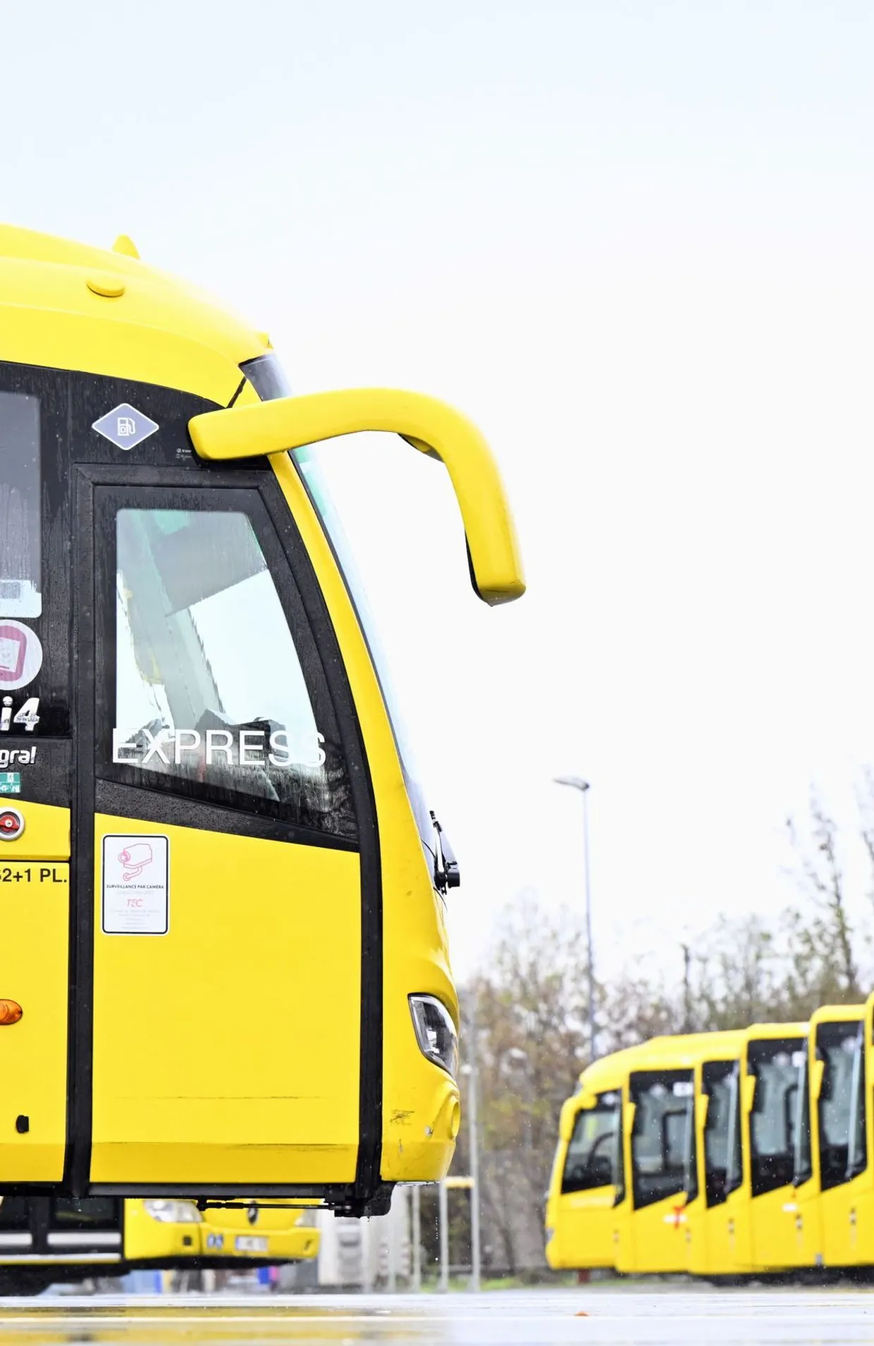 Le réseau bus TEC reste fortement perturbé ce lundi - RTBF Actus