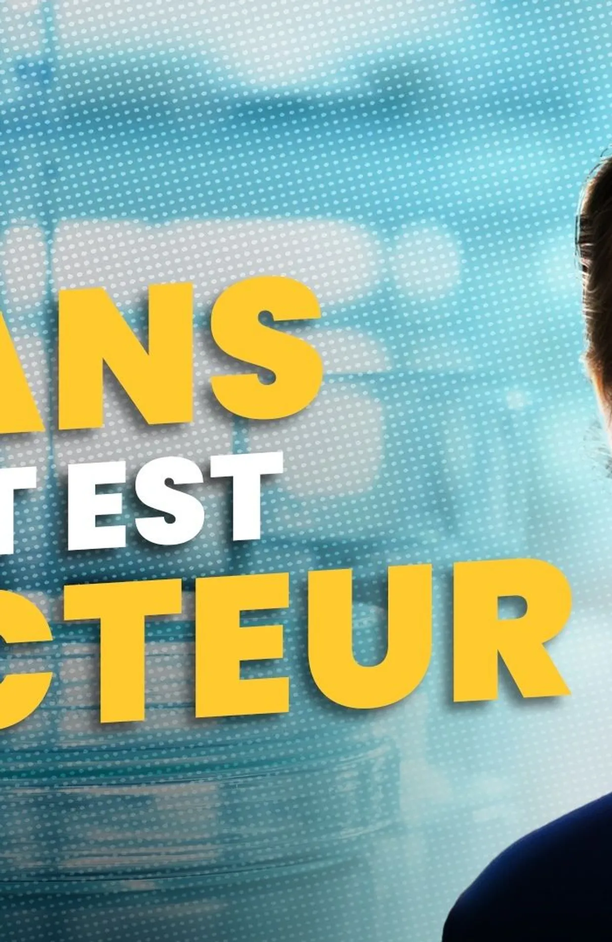 Pourquoi les chats aiment-ils autant se blottir dans les boîtes en ...