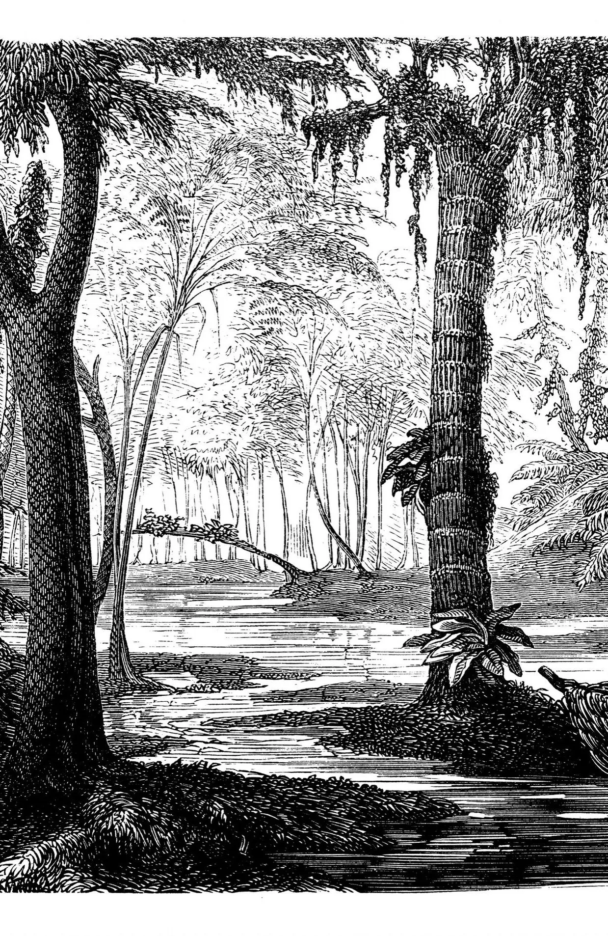 Les trésors de la tombe princière celte de Lavau exposés pour la ...