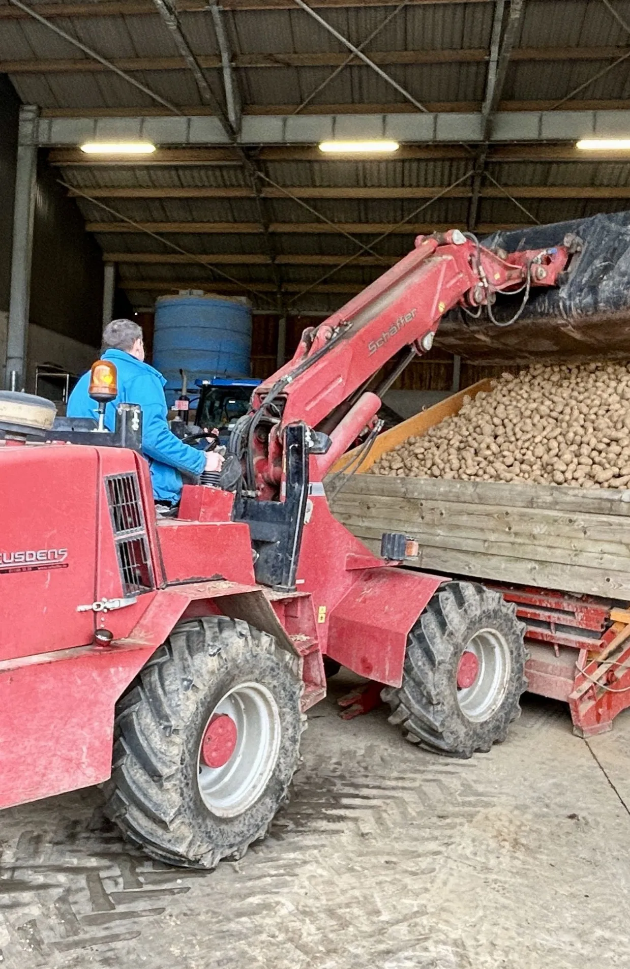 Clarebout Potatoes, des frites belges à la sauce américaine : le goût ...