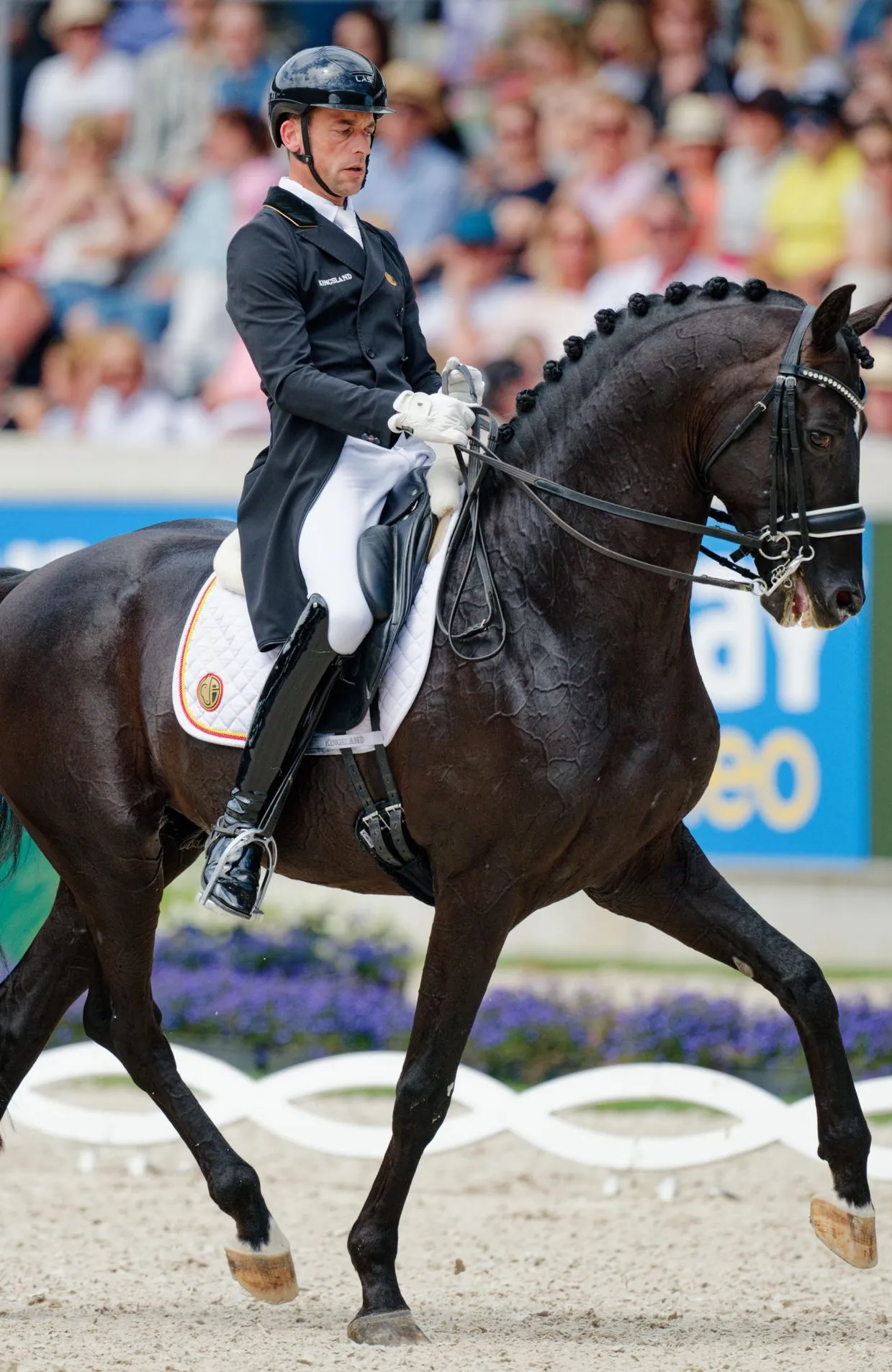 Justin Verboomen gagne le Grand Prix du Top douze de dressage à ...
