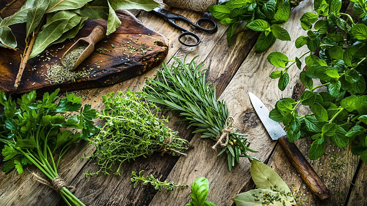 Recette : côte à l'os grillée de Gerald Watelet - RTBF Actus