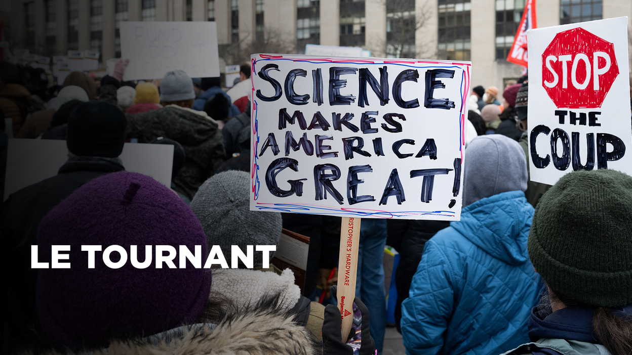 Des activistes de Code Rouge ont quitté le site de Cargill à Gand : une ...