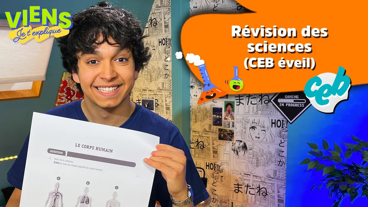 CEB de français : Savoir écrire, écouter ou savoir lire - Voici tous ...