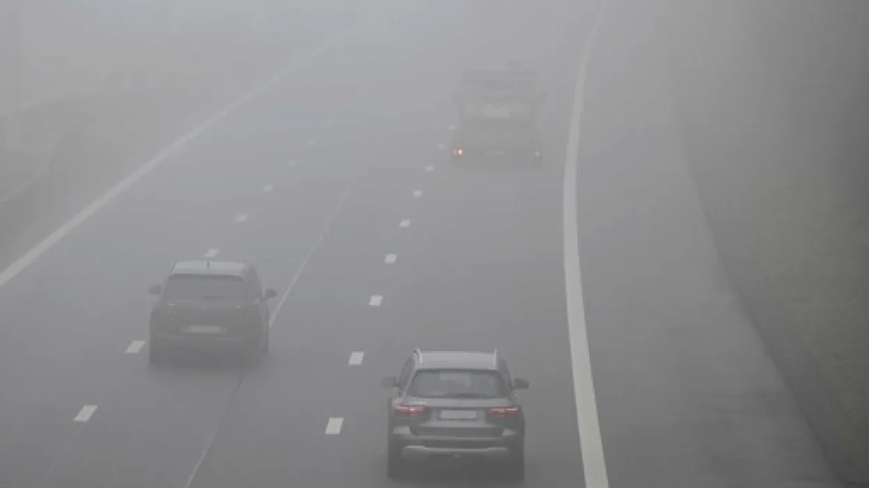 Des chèques-repas augmentés à 10 euros : quand, pour qui, à quelles ...