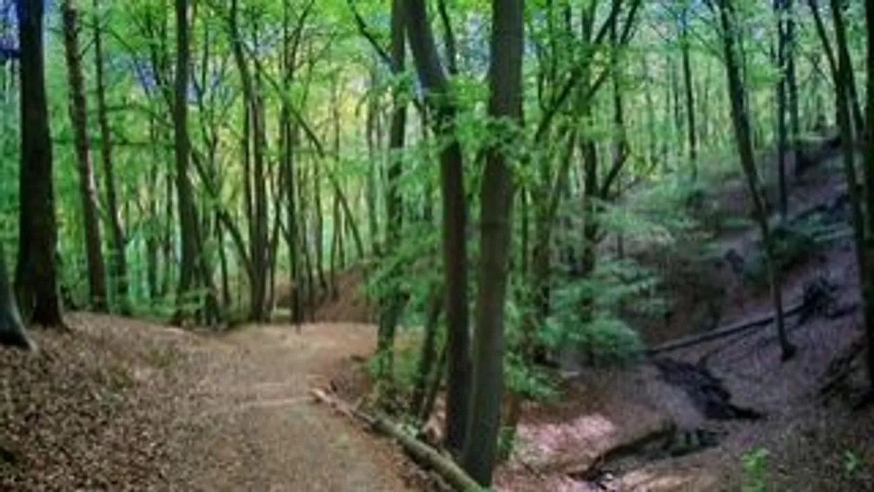 Les 22 marches Adeps du dimanche 10 mai en Wallonie - RTBF Actus
