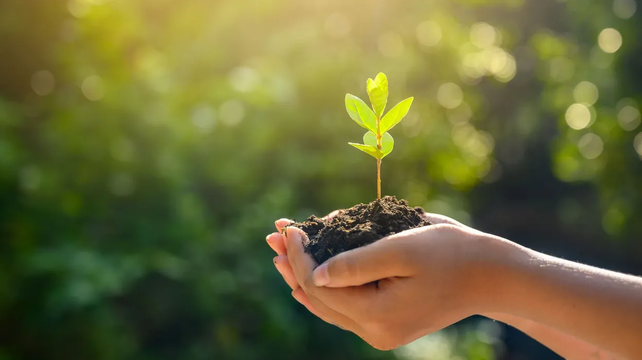 Lexique du sol : les termes essentiels pour le jardinier - RTBF Actus