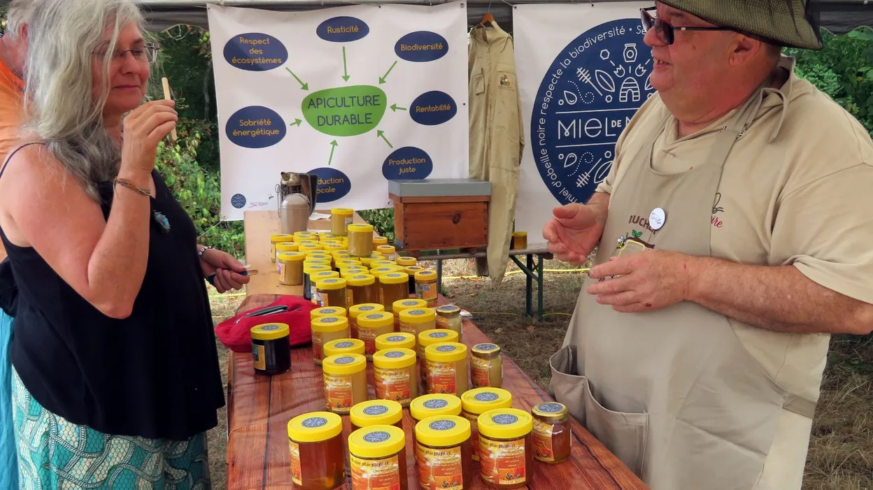 Les activités du week-end du 16 au 18 août en Wallonie et à Bruxelles ...