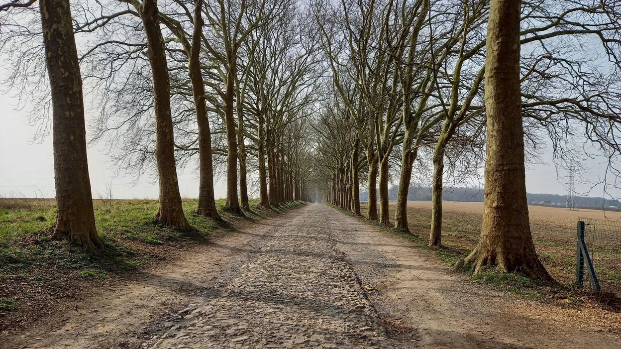 Les 22 marches Adeps du dimanche 15 mars en Wallonie - RTBF Actus