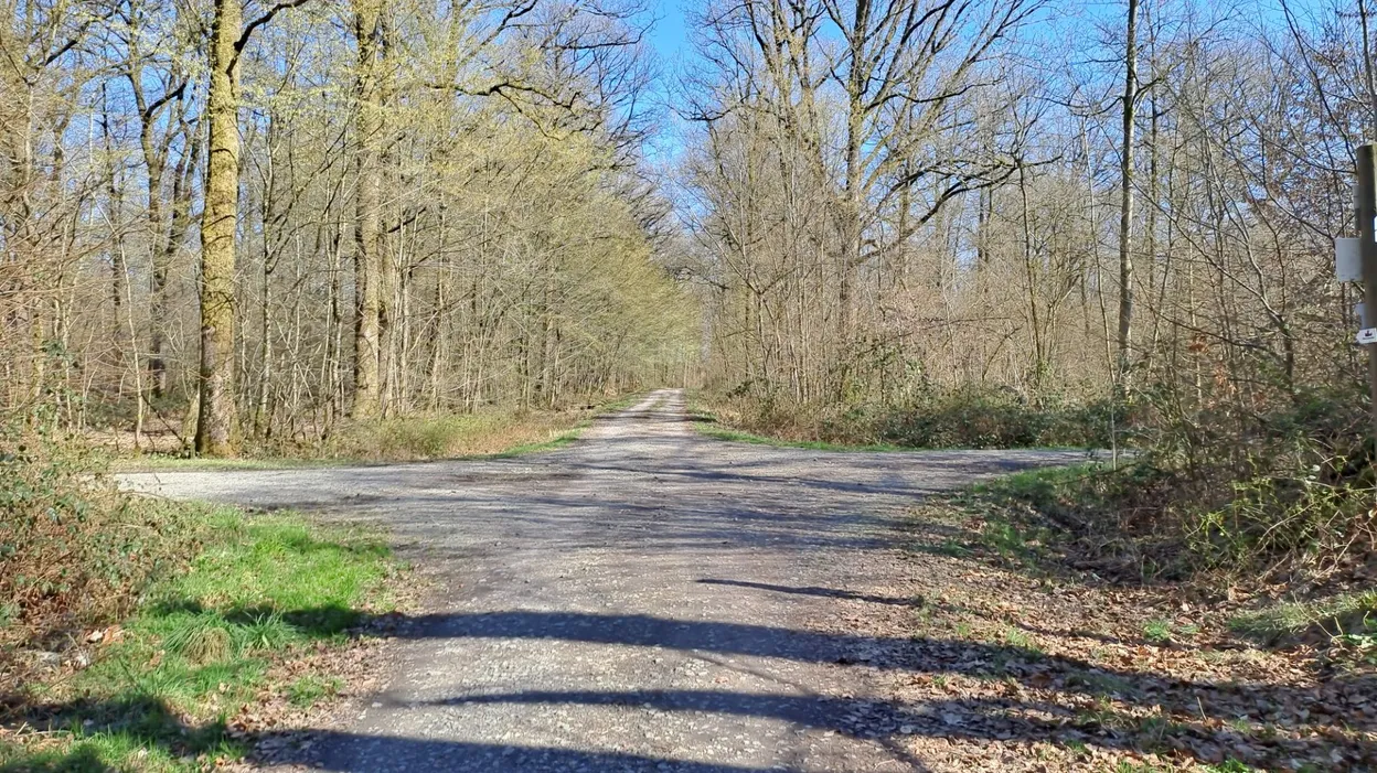 Les 22 marches Adeps du dimanche 29 mars en Wallonie - RTBF Actus
