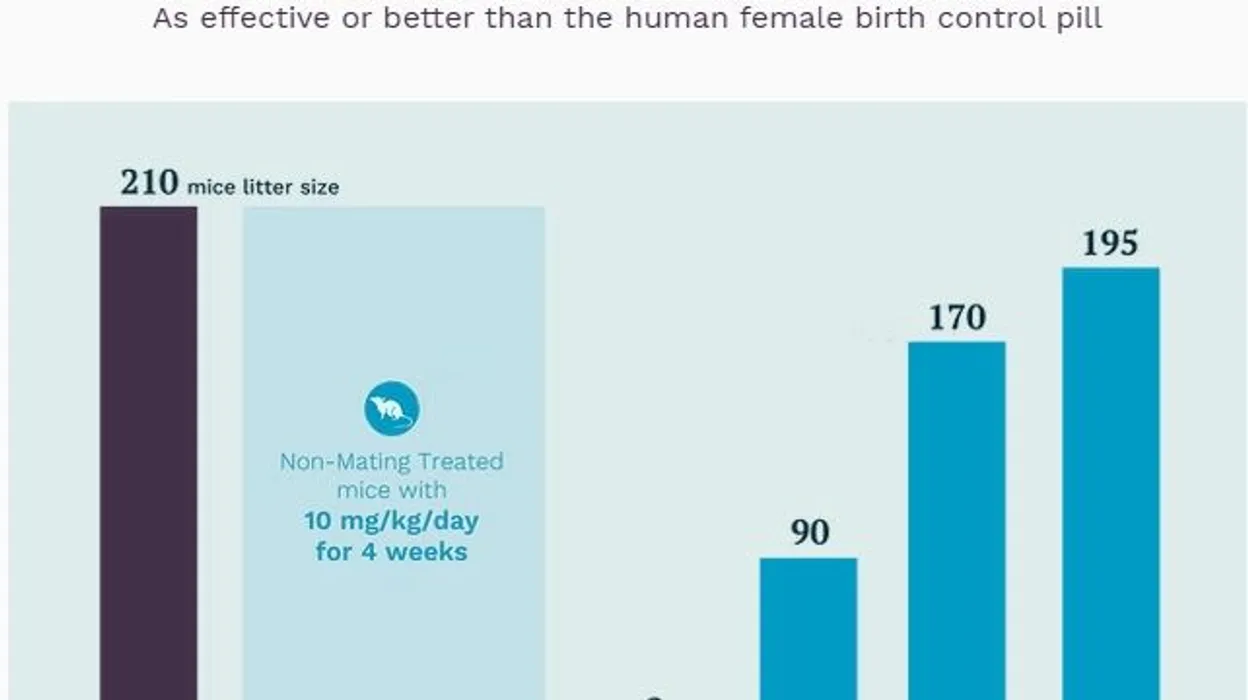 Pilule masculine : YCT-529, la révolution contraceptive bientôt sur le ...