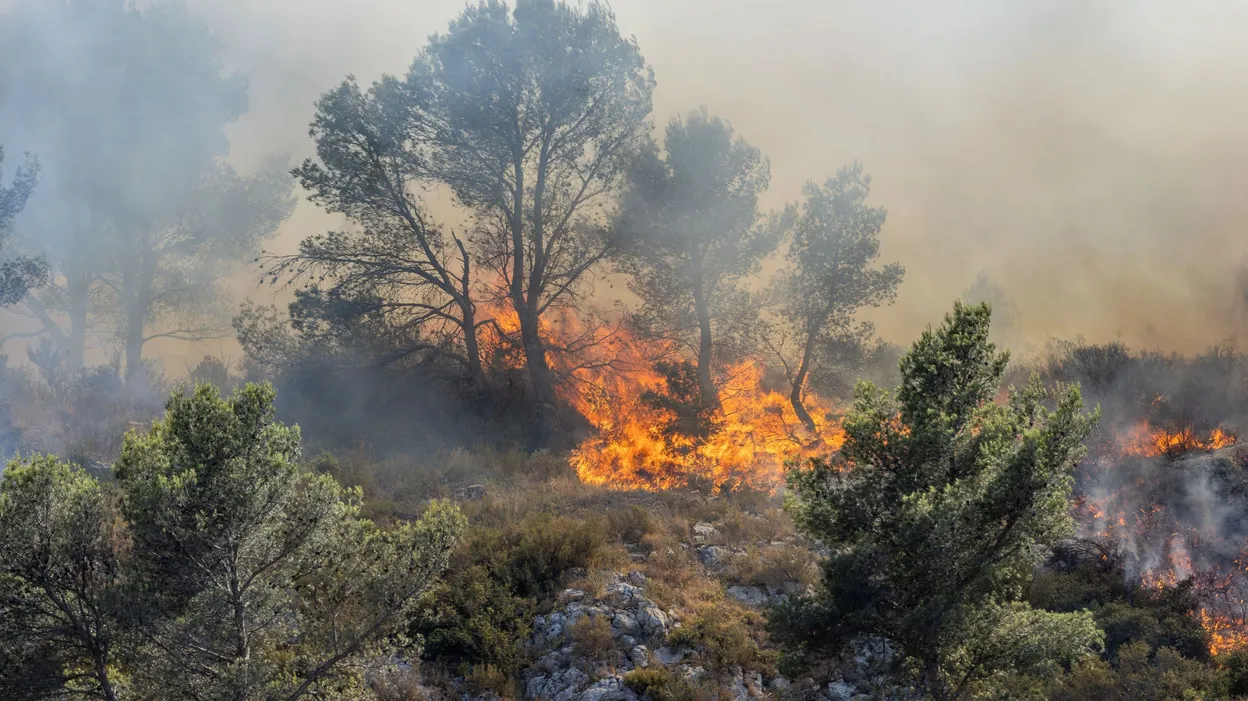 Feux de forêt en Espagne : un incendie a déjà ravagé près de 3000 ...