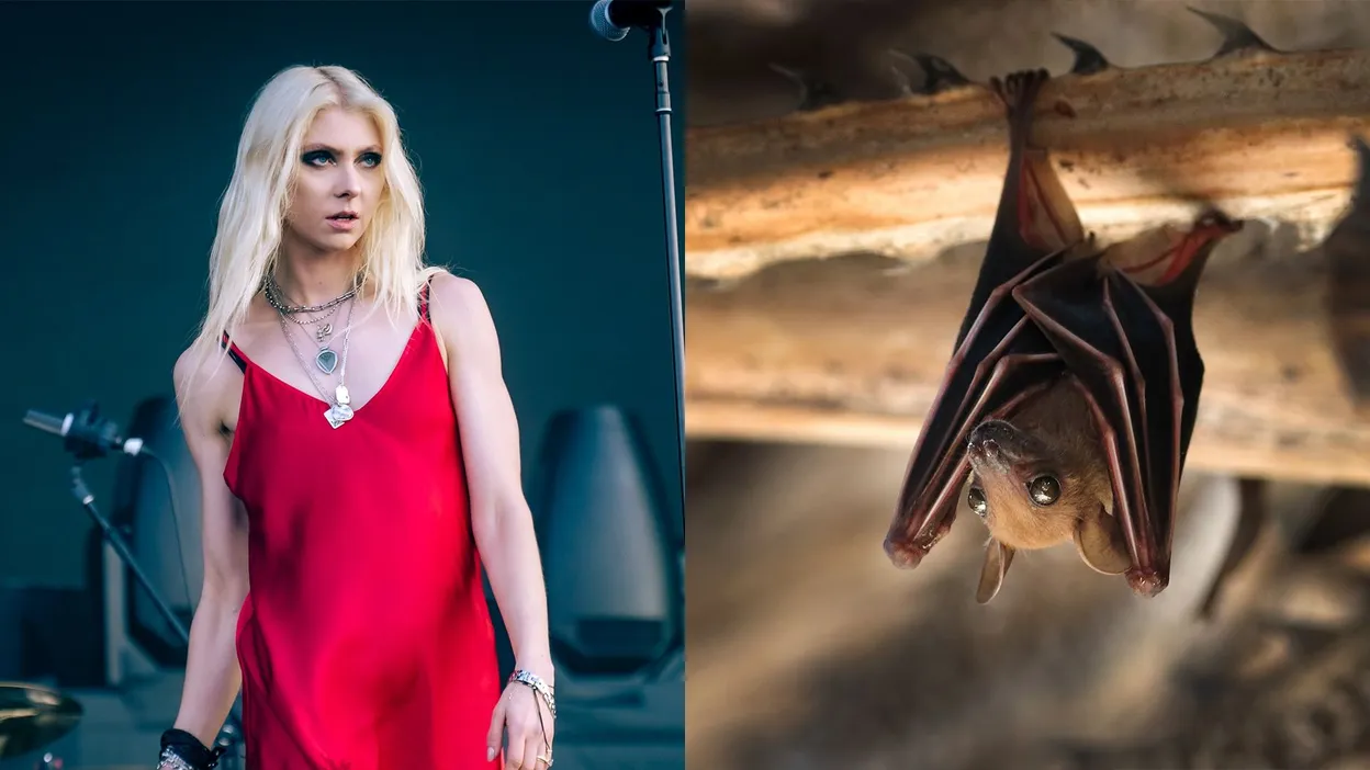 Taylor Momsen de The Pretty Reckless transforme sa chanson d'enfance du ...