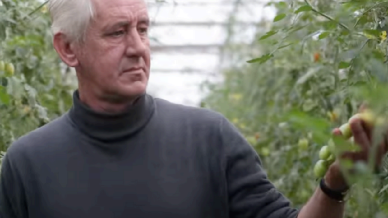 La Fête de la Tomate, un rendez-vous estival qui célèbre l’agriculture ...
