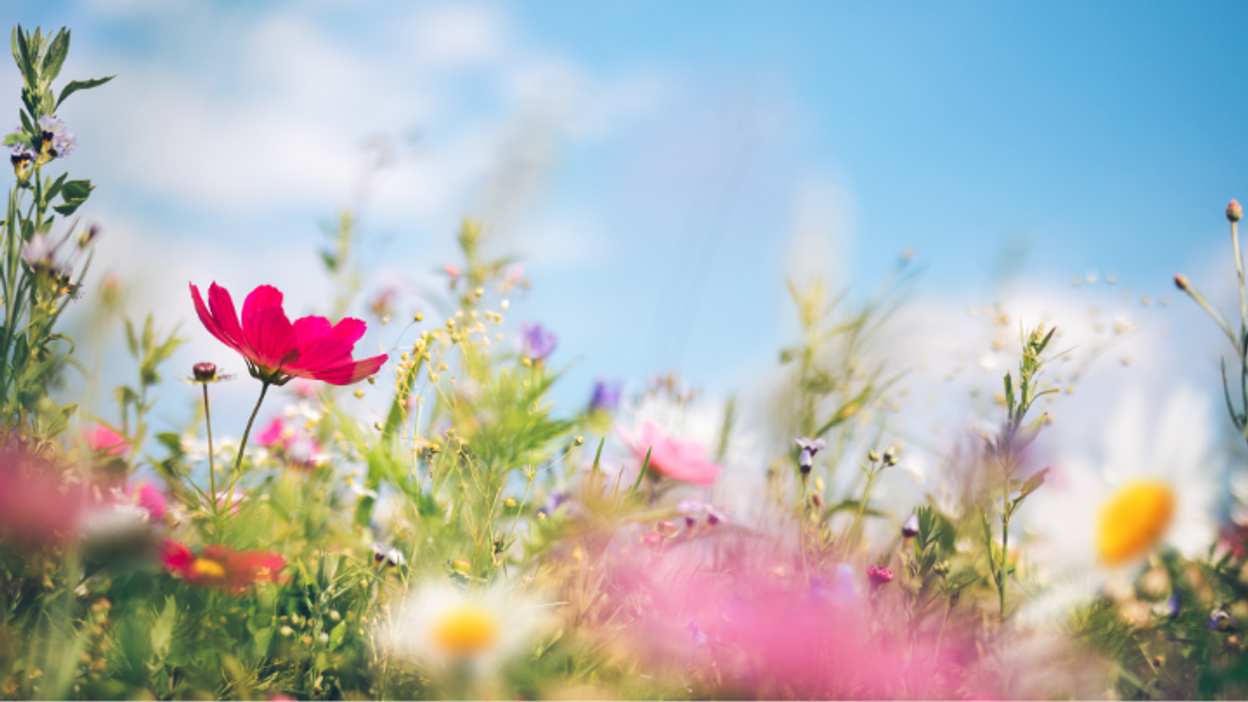 On vous conseille 5 revisites modernes des contes de fées - RTBF Actus