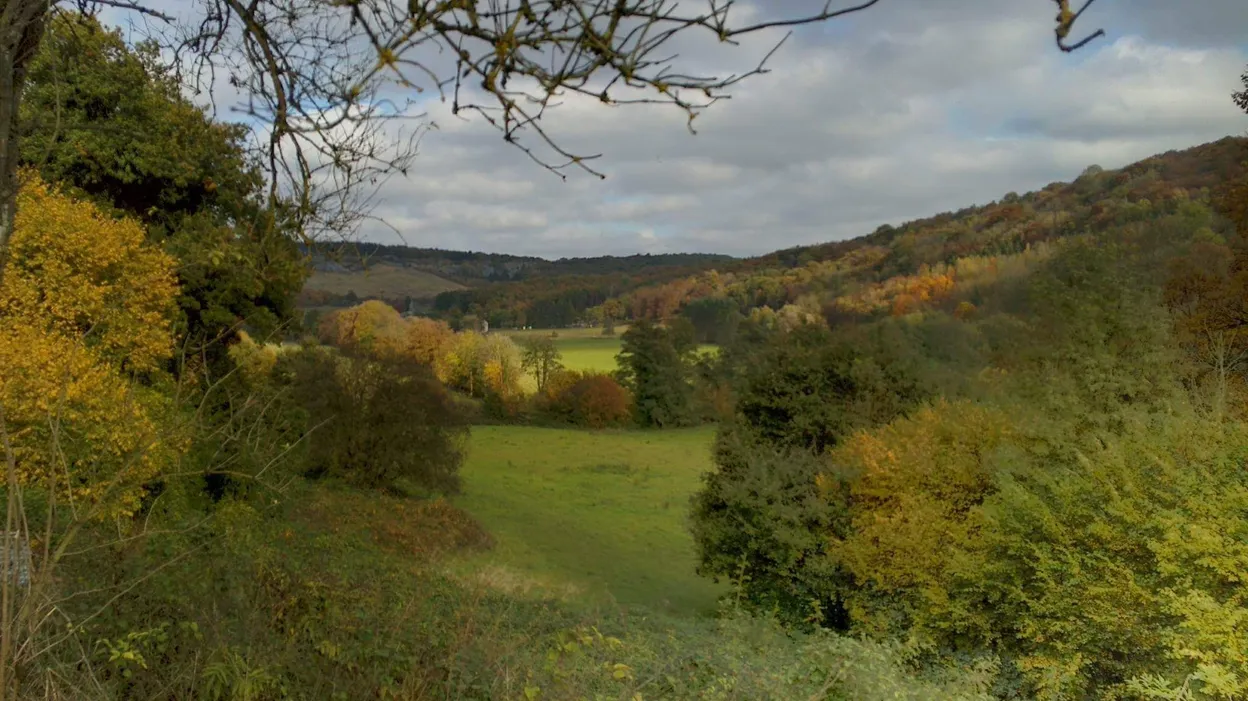 Les 22 marches Adeps du dimanche 22 mars en Wallonie - RTBF Actus