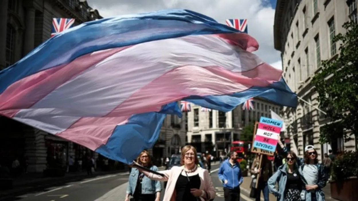 Une nouvelle étude indique que les personnes transgenres et non ...