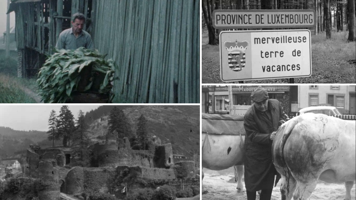 Jusqu’au 26 octobre, Le Jardin Extraordinaire ouvre sa chaîne en ...