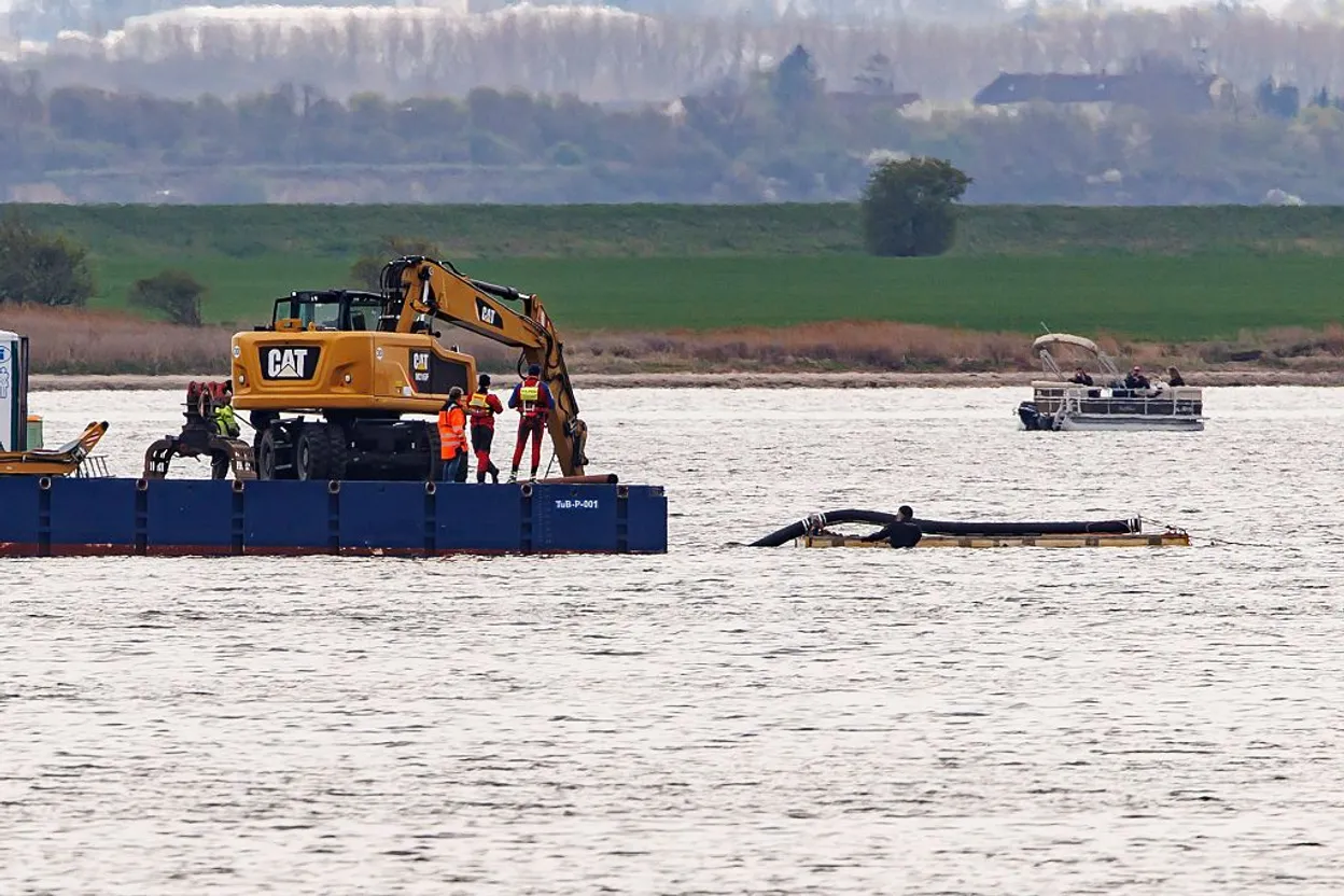 Baleine Timmy : pourquoi son sauvetage divise autant experts et opinion ...