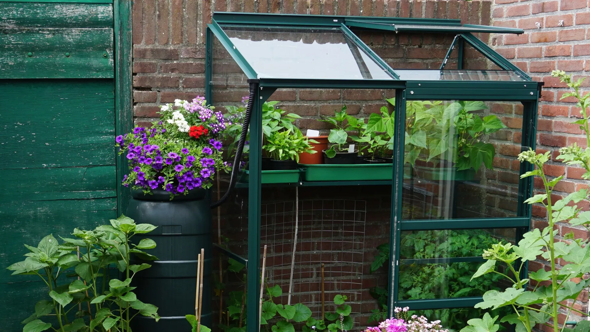 Un potager sur la terrasse ou le balcon : les infos pour bien débuter ...