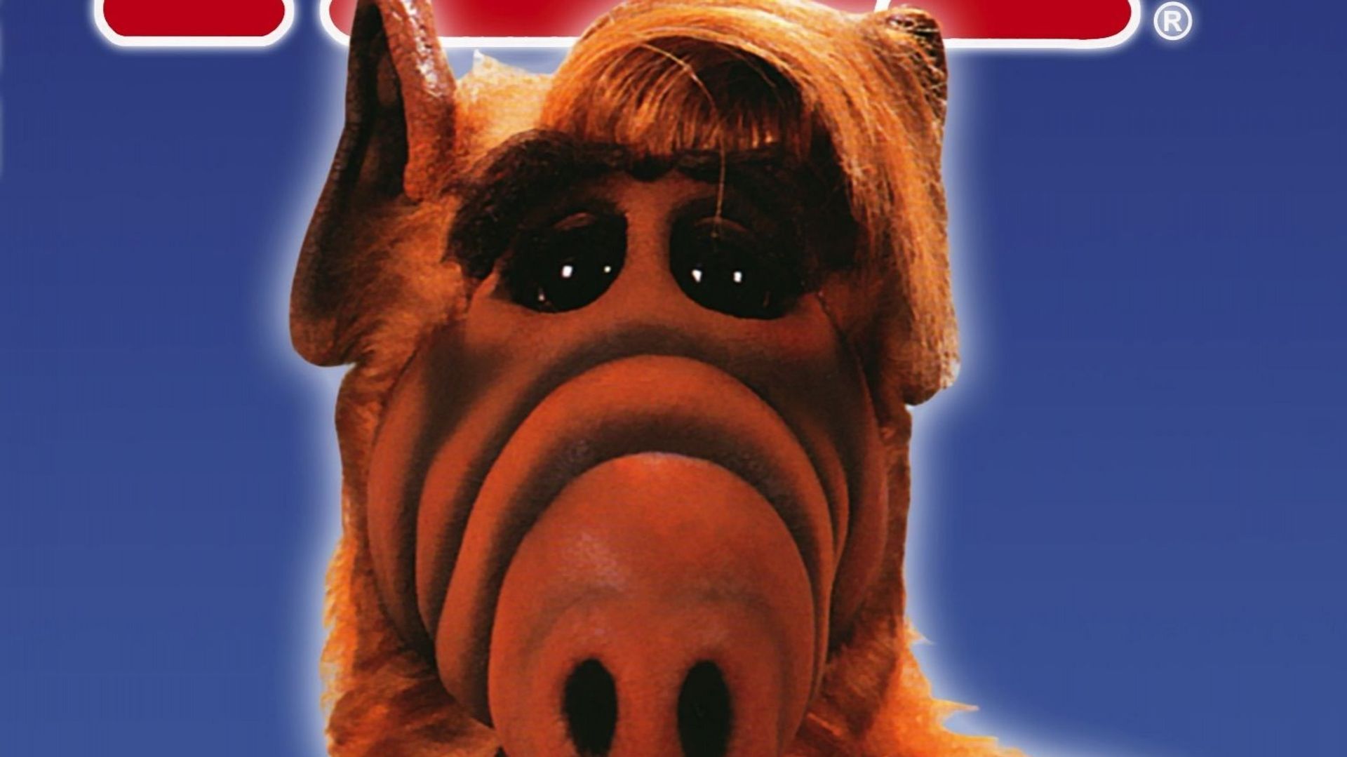 Warner Bros. prépare un reboot de 'Alf' - RTBF Actus