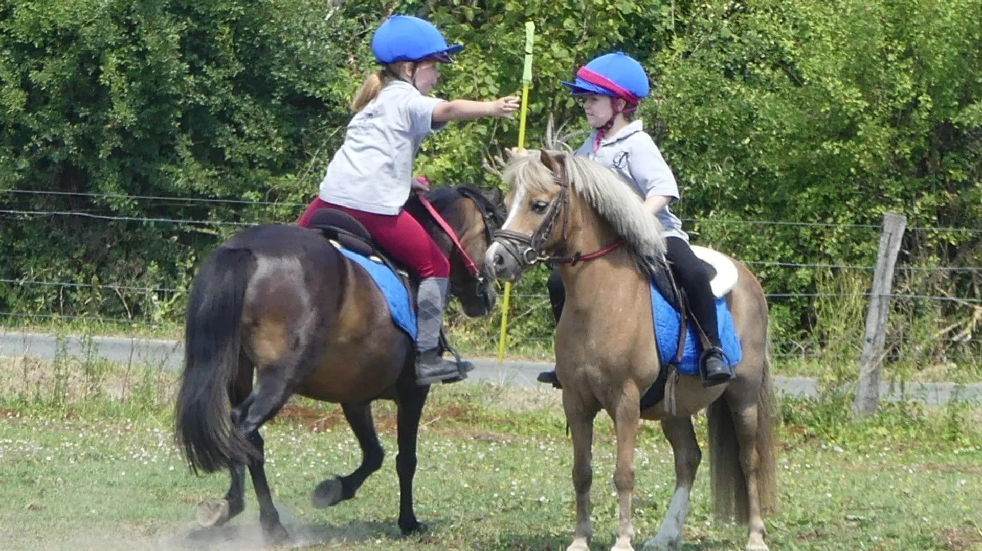 Découvrir l’équitation par le jeu au Poney Club de Buisseret - RTBF Actus