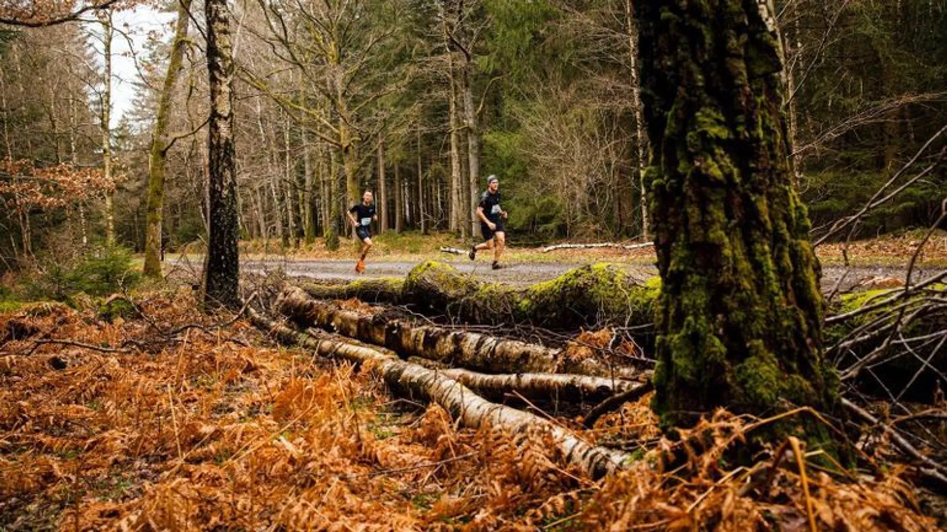 'Je cours pour ma forme' : l’initiative sportive fait son retour cet ...