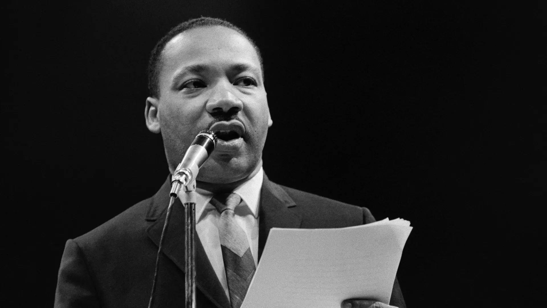 Best of du Grand Cactus : revivez le 'moins pire des politiques' de ...