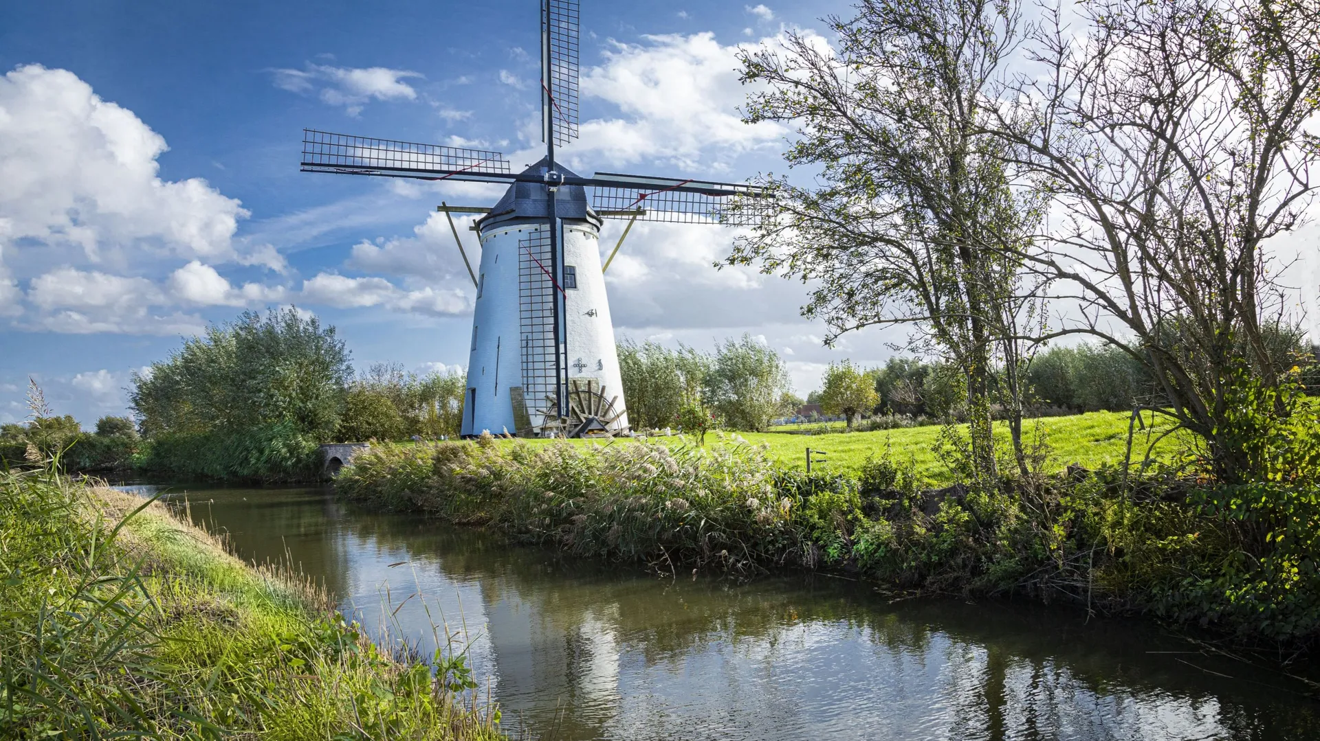 Ommeland - RTBF Actus