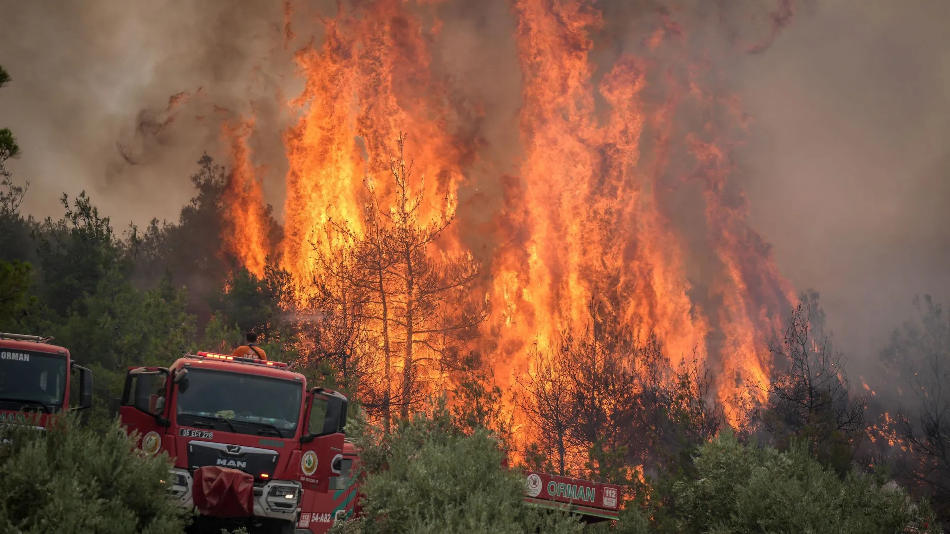 France : l’incendie ravageant de plus de 600 hectares dans l’Aude et ...