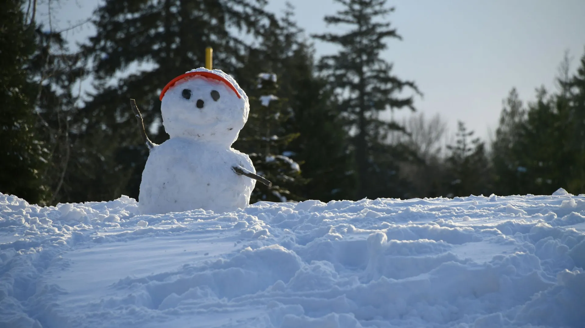 Winston Churchill, boulet de canon et bonhomme de neige : voici nos 10 ...