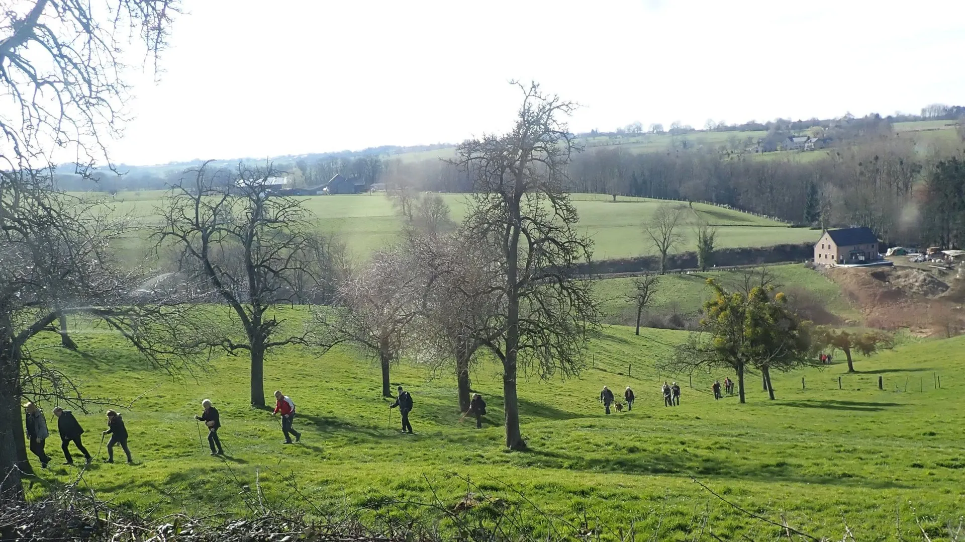 Les 22 marches Adeps du dimanche 15 mars en Wallonie - RTBF Actus