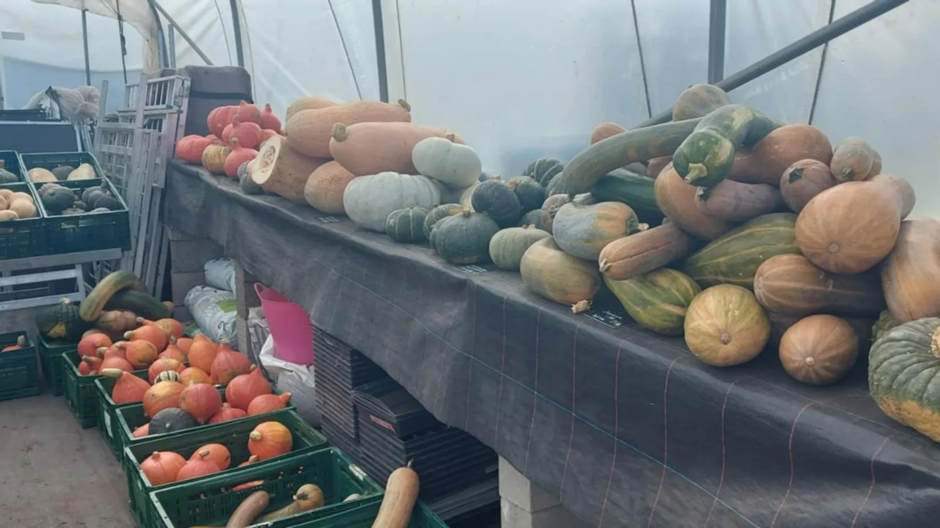 Des fruits et légumes frais, ce n’est pas à la portée de tous, même ...