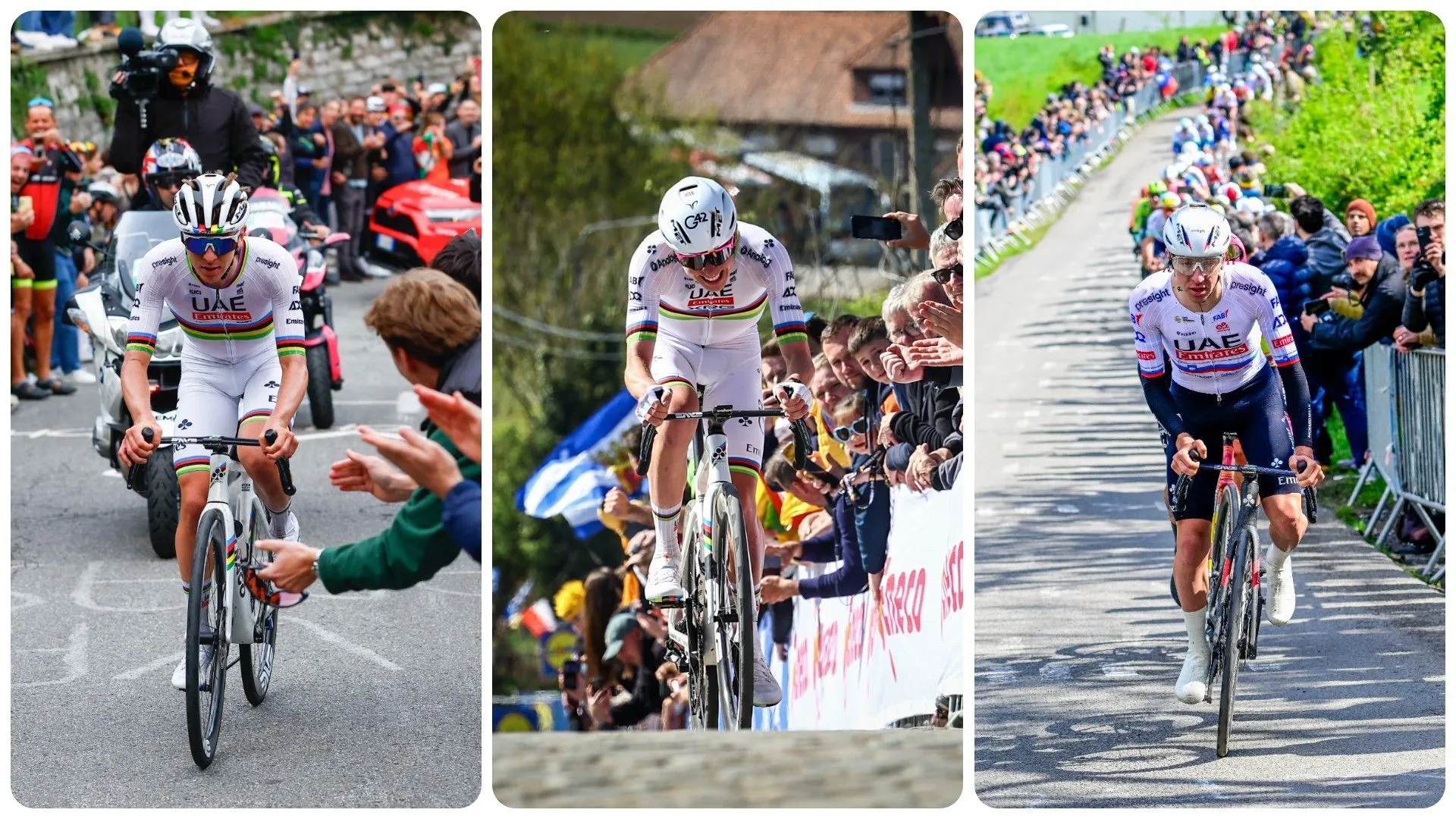 8 monuments, 47% de victoire, 6e de l’histoire : les chiffres fous de Tadej Pogacar - RTBF Actus