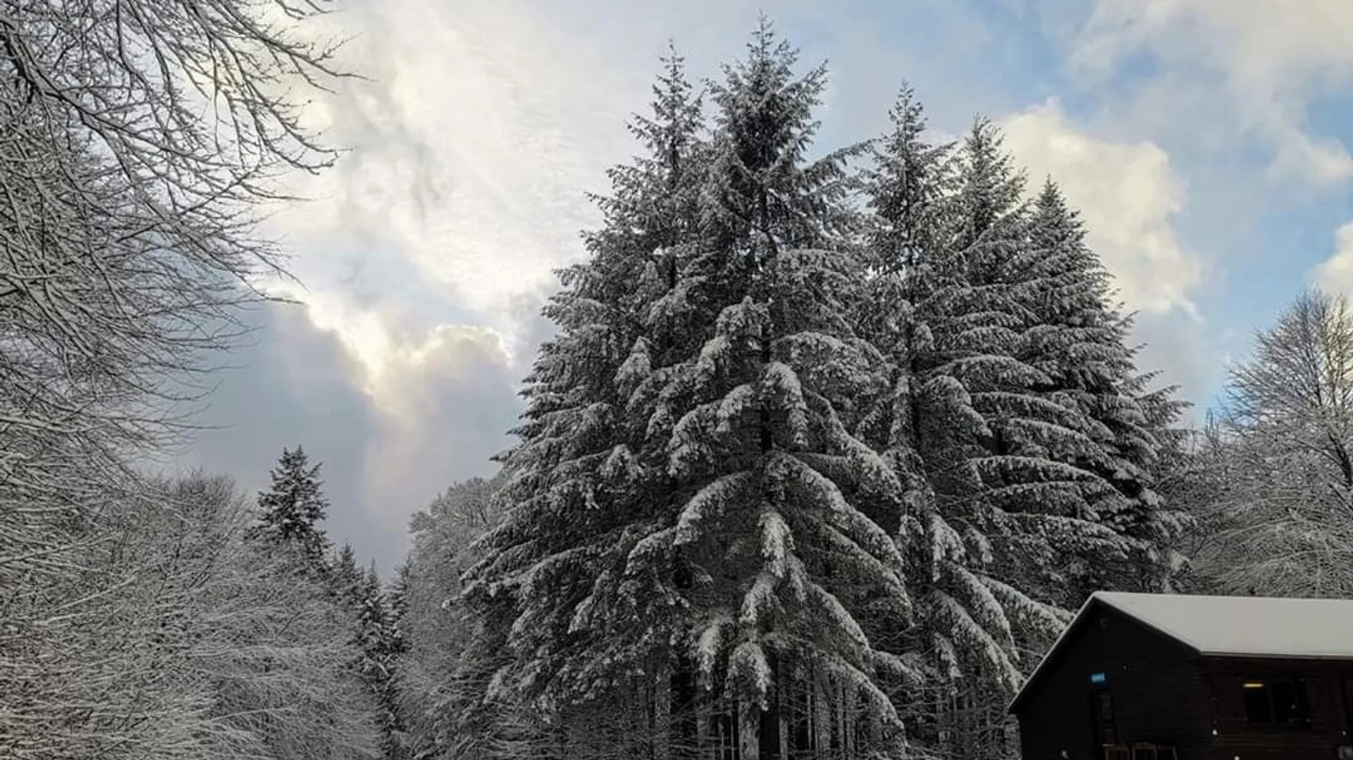 'Annette' : vivre libre en tant que femme à 75 ans - RTBF Actus