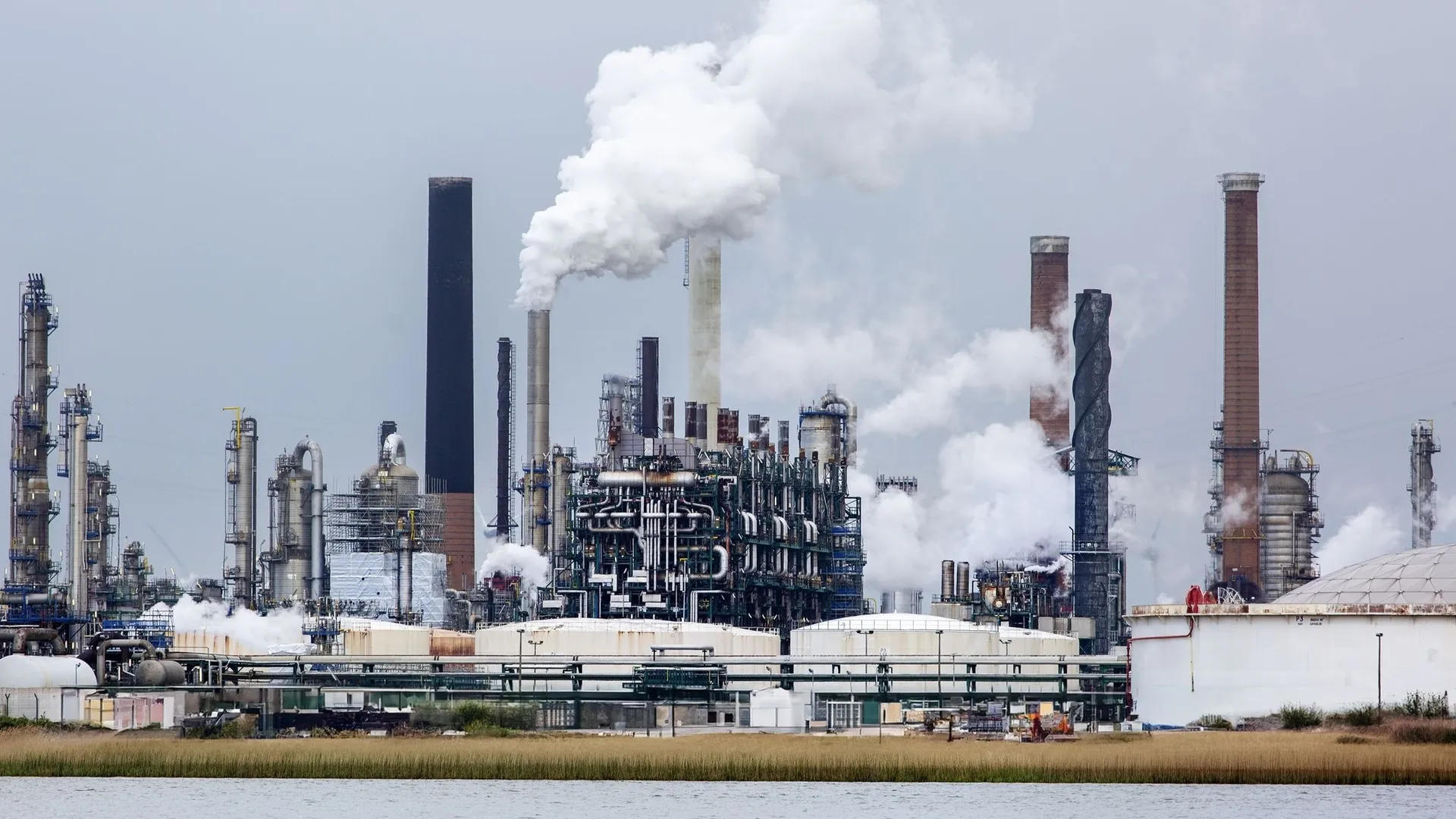 COP30 en Amazonie : simple symbole ou vrai tournant pour le climat ...