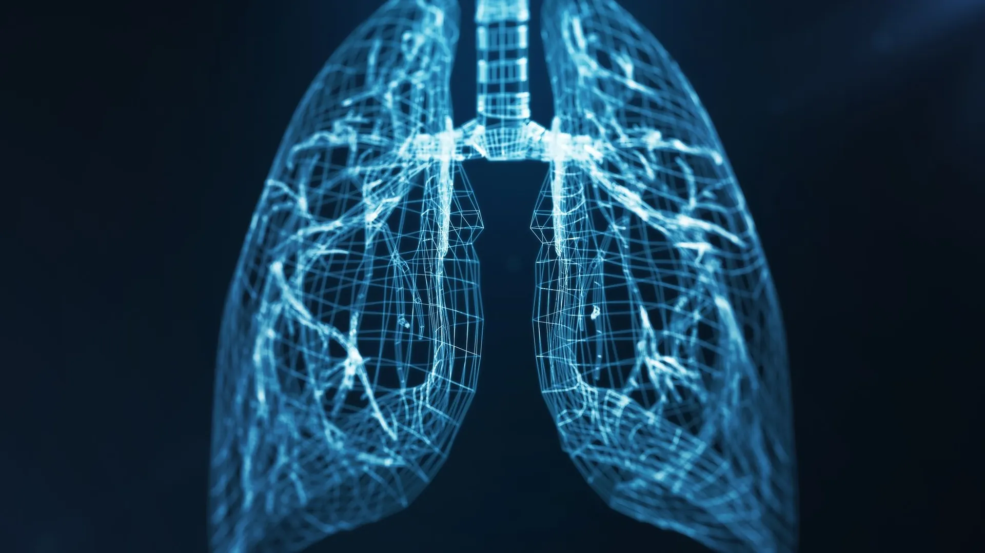 Australie : 2500 personnes posent nues sur la plage contre le cancer de ...