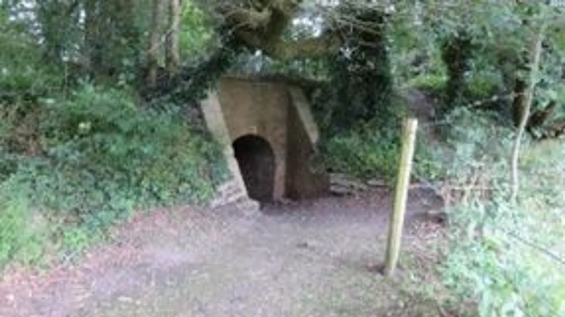 Les 7 marches fédérales organisées ce long week-end du 15 août en ...