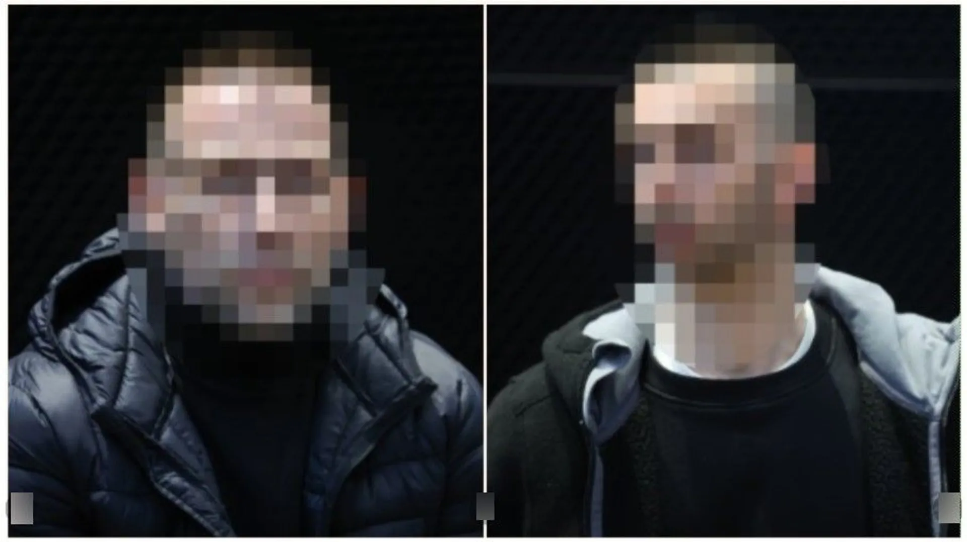 Un foyer de grippe aviaire de type H5 confirmé dans un élevage de ...