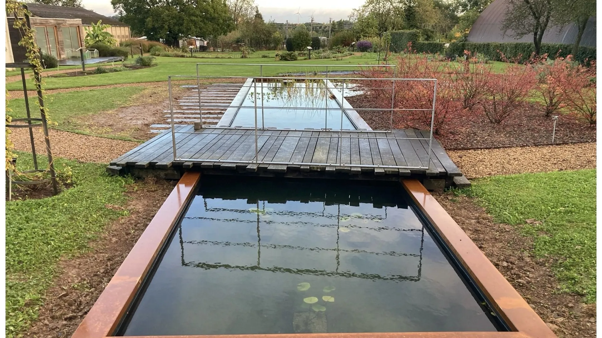 Bokep dream live non-VIPs she claimed she was a girlfriend