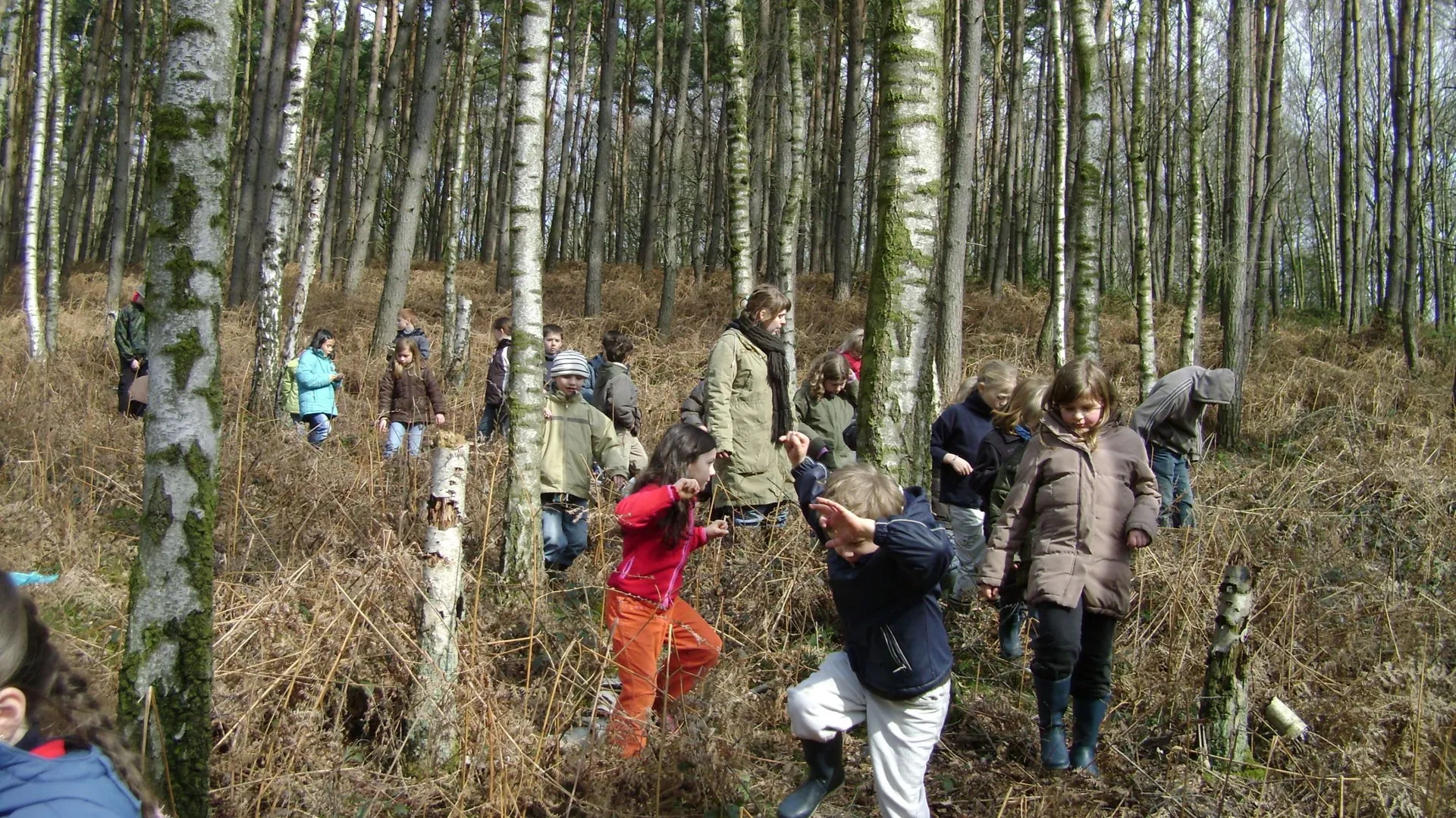 Le baluchon, un centre de nature et créativité en plein centre-ville ...