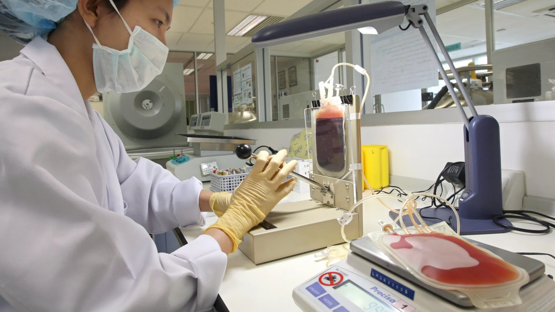 Leucémie virale: un nouvel outil pour mieux prédire la réponse au ...