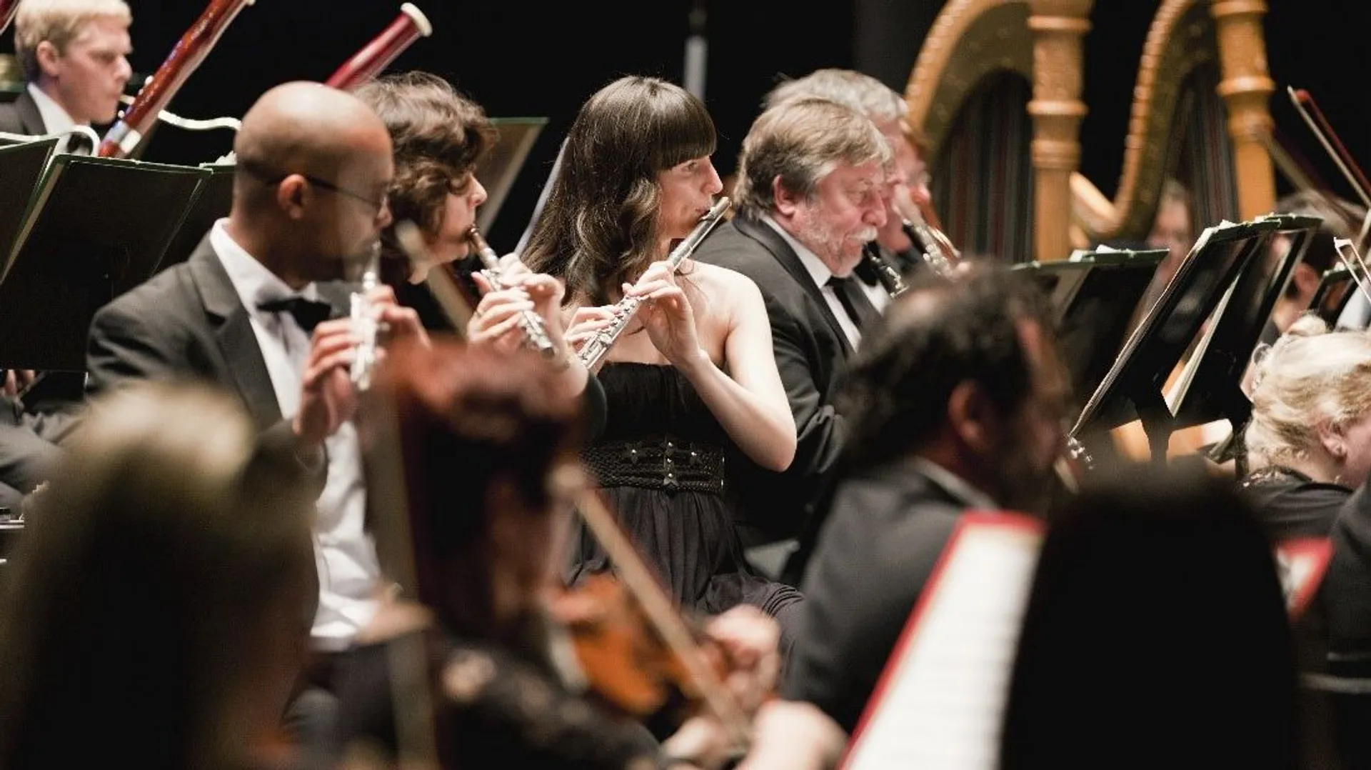 Le tindé et l’imzad, deux instruments traditionnels joués par les ...