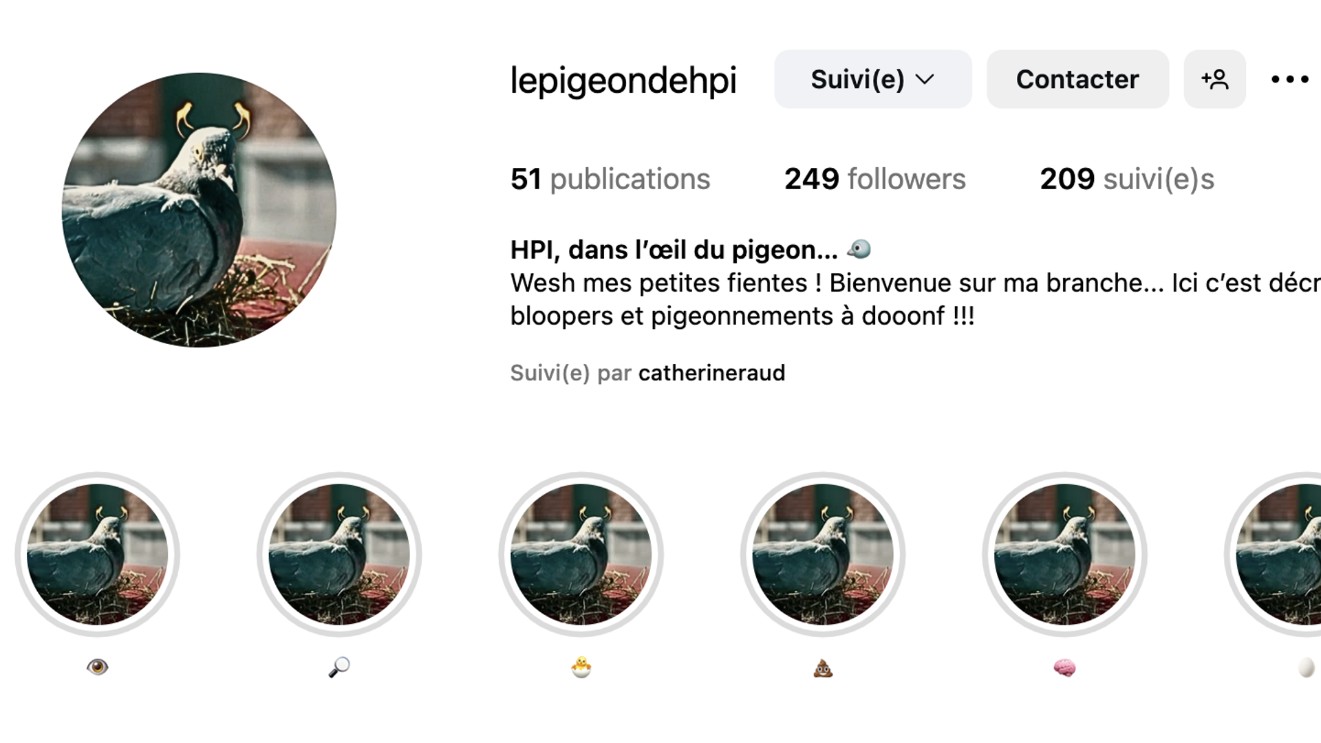 Les Morganettes, Le Pigeon : qui sont ces grands fans de la série 'HPI ...