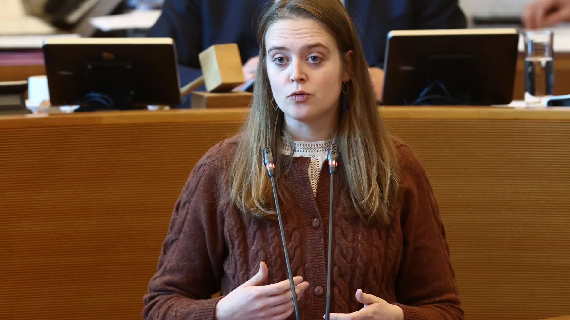 Mercosur : les contrôles des aliments sud-américains seront-ils ...