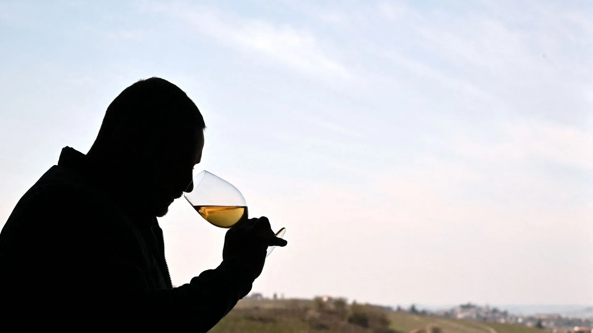 Vin : grande distribution, foires, labels, appellations… Ce qu’il faut ...