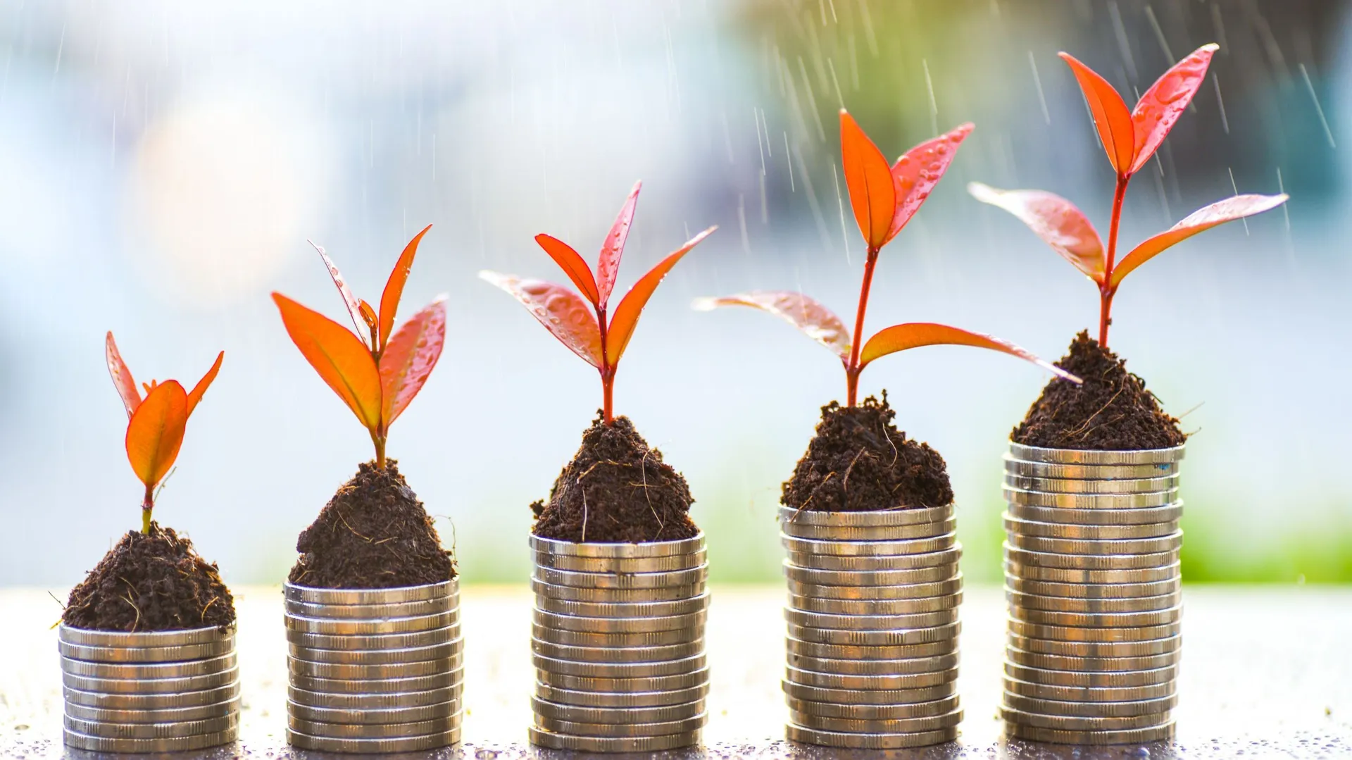 Mouvement FIRE : est-il possible de prendre sa retraite avant 40 ans ...