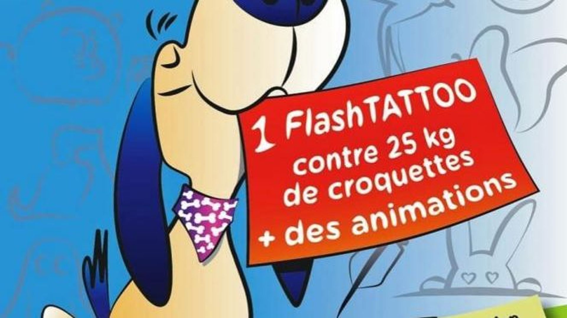 Leslie en cuisine, le Tipik Belge savoureux ! - RTBF Actus