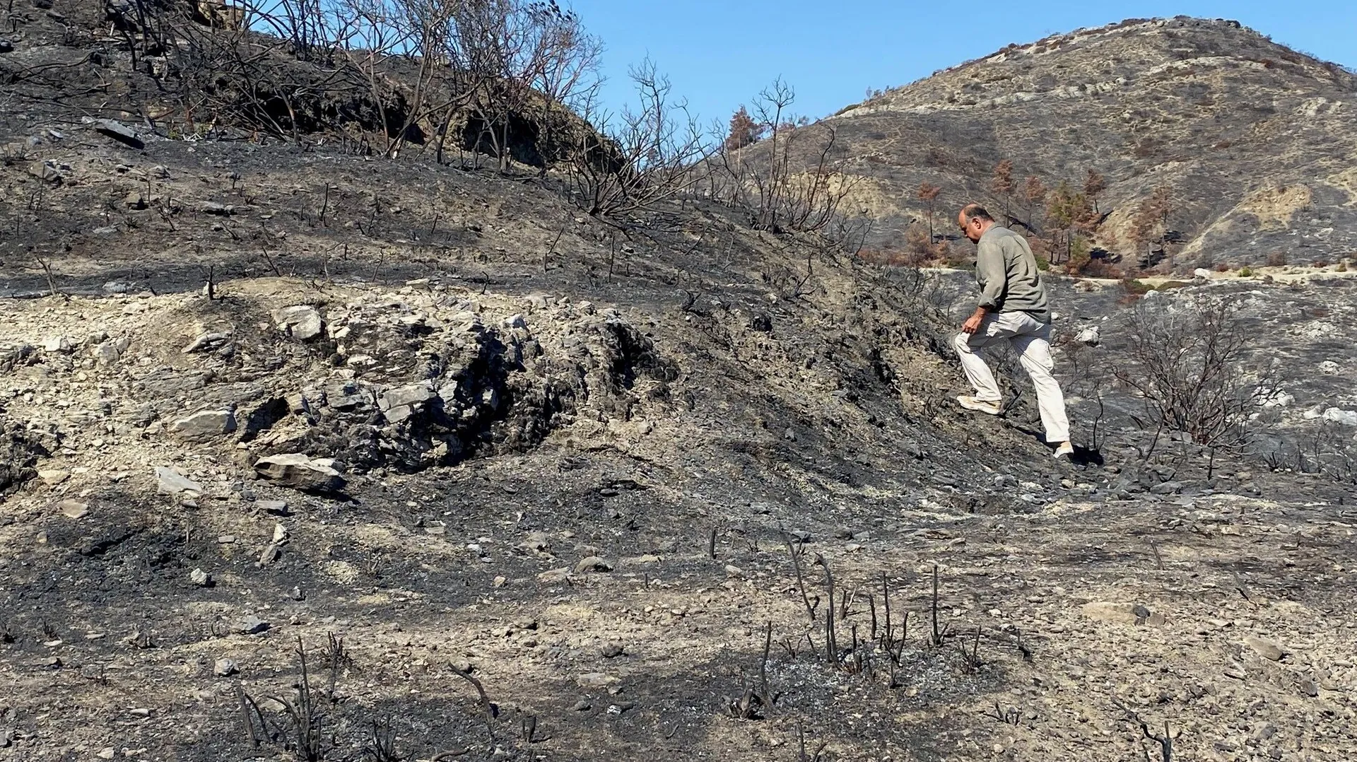 Ile de Rhodes : deux mois après les incendies, le combat de Nektarios ...