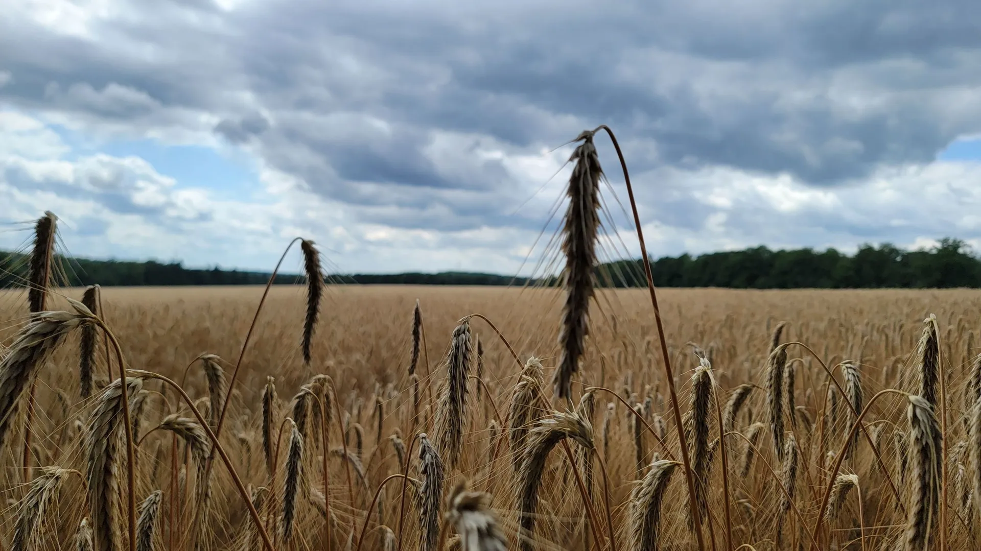 Urfi xxxx all reviews are completely accurate, if not